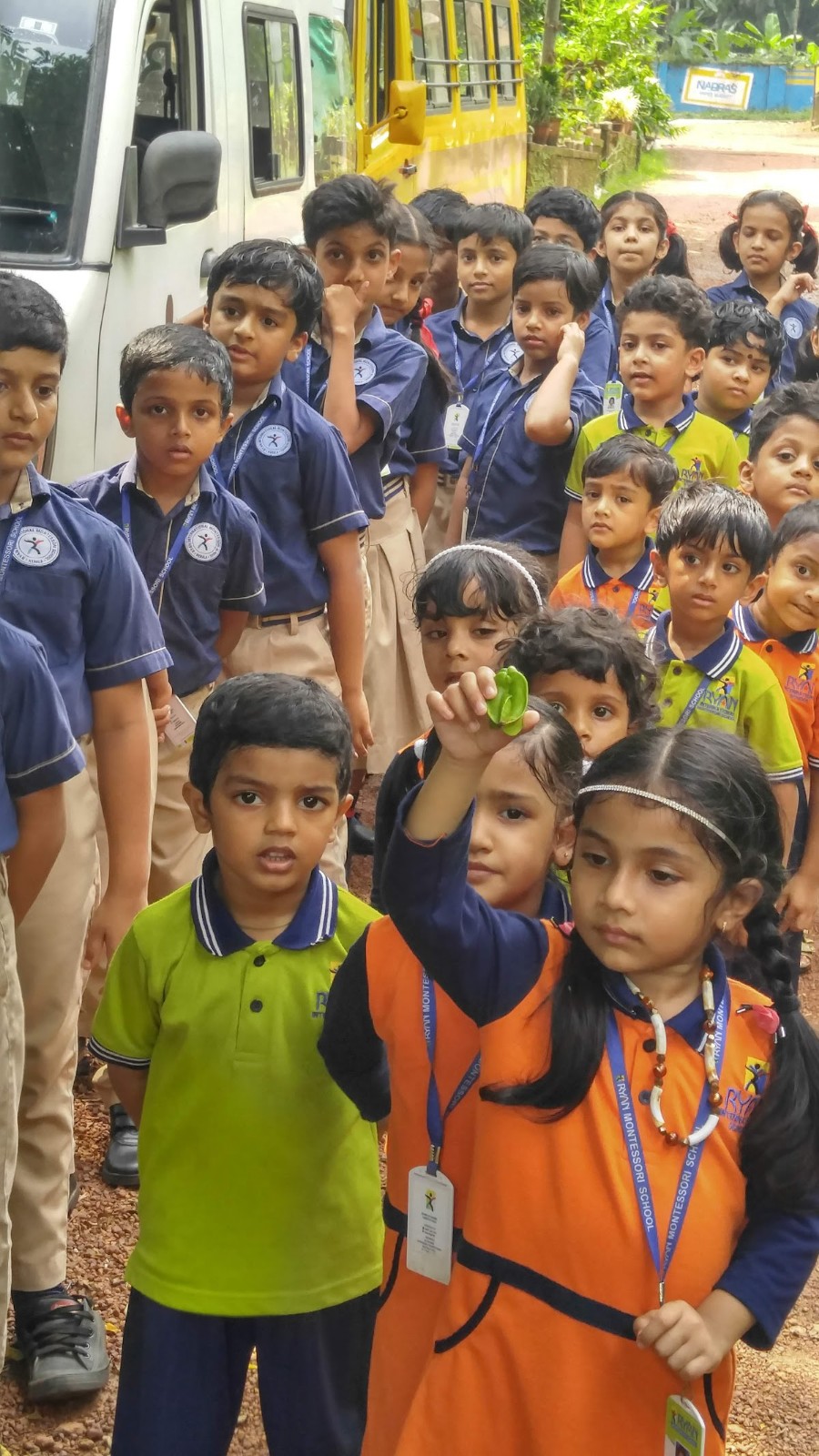 About Us - Ryan Foundation